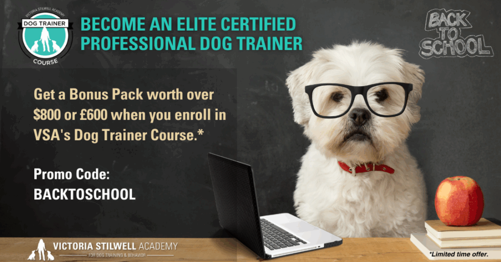 Dog Trainer Course - Elite professional dog trainer certification ...