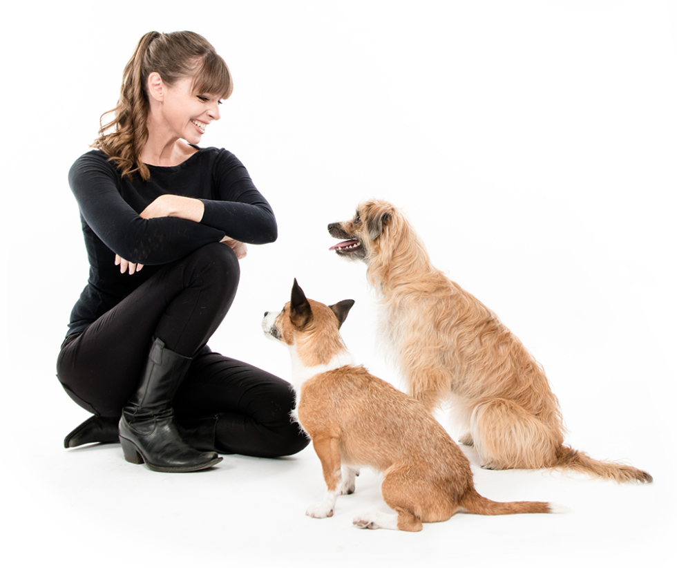 Dog Trainer Course In-Person Dog Track - Victoria Stilwell Academy